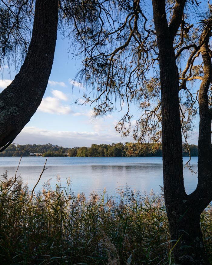 Narrabeen Lagoon Loop - Hika Trail