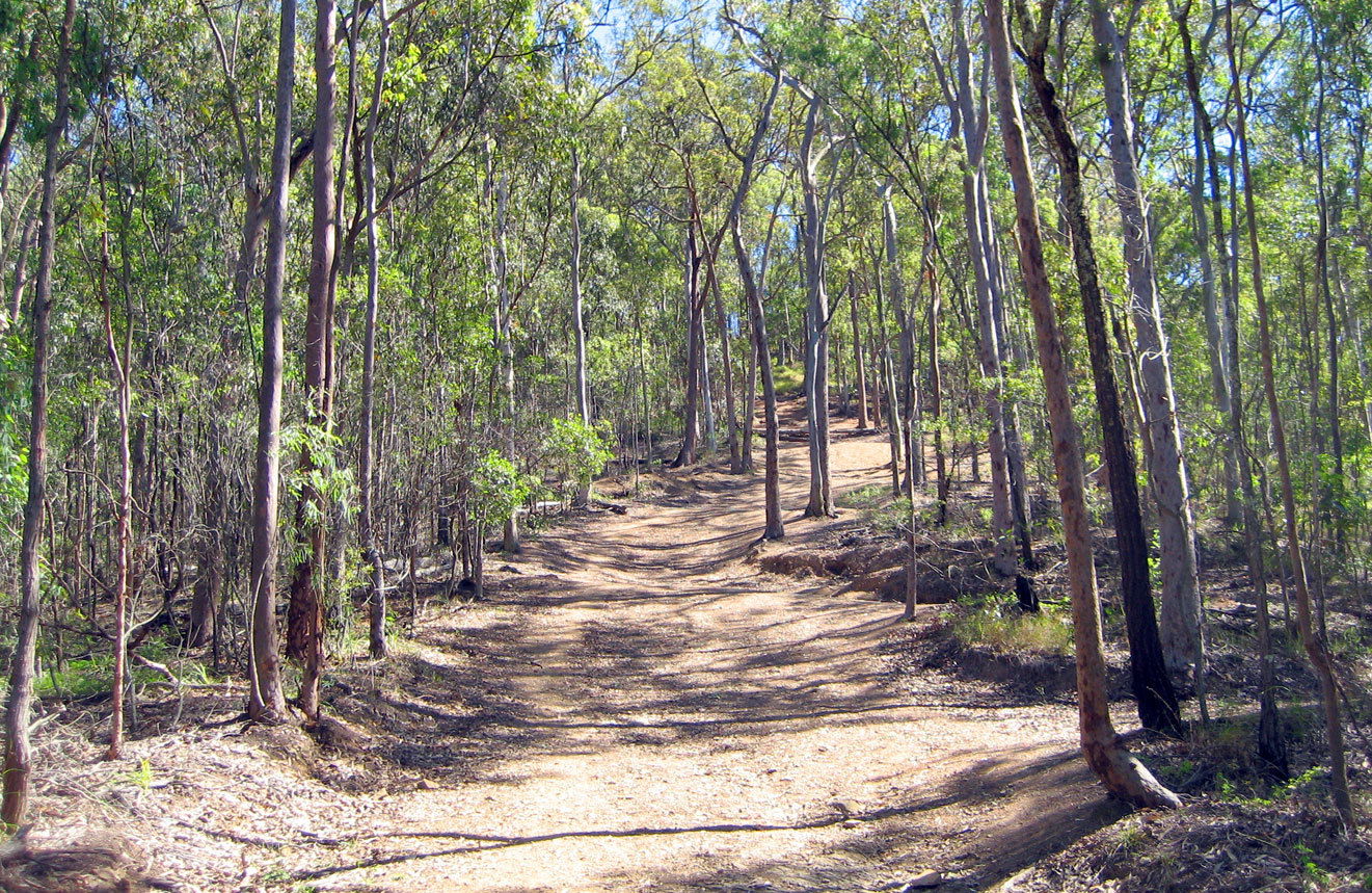 Mount Coot-tha Reserve - Hika Trail