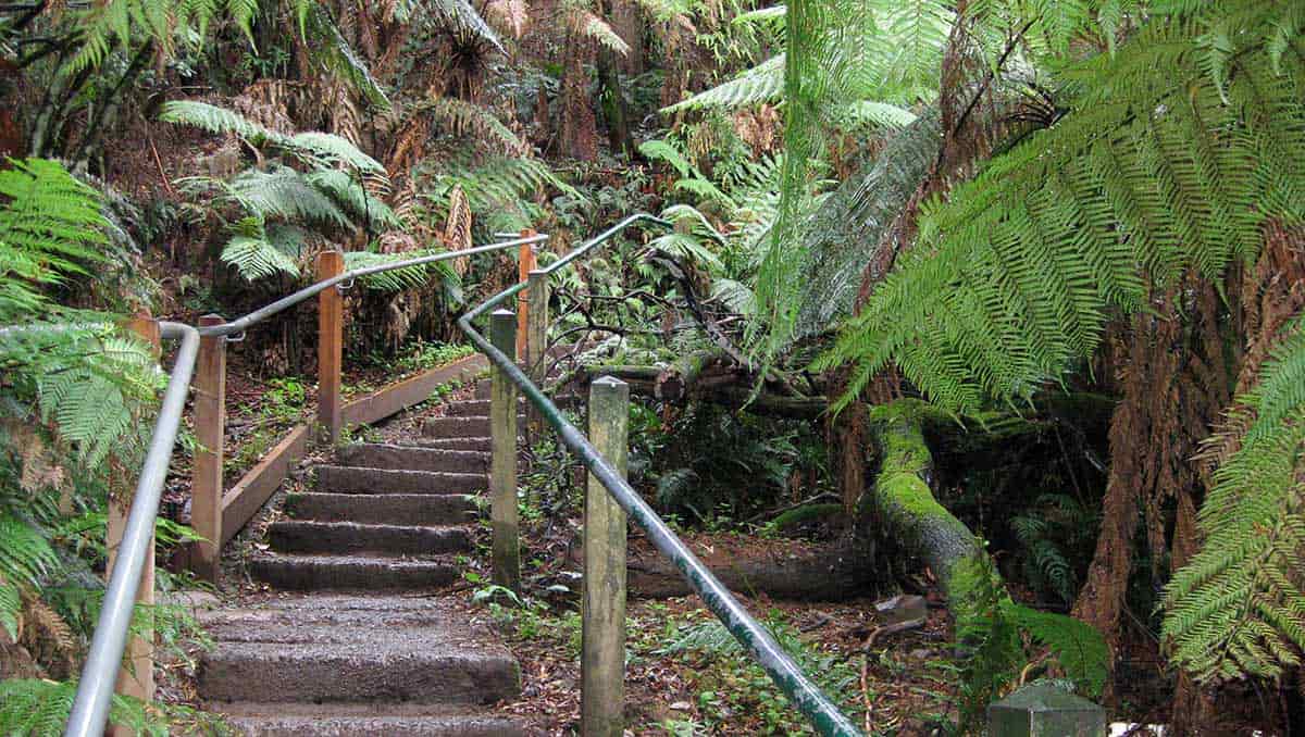 1000 Steps Walk - Randonnée Hika