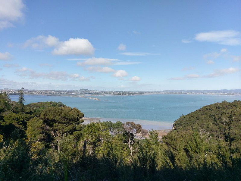 Kauri Point Centennial Path Loop - Hika Trail