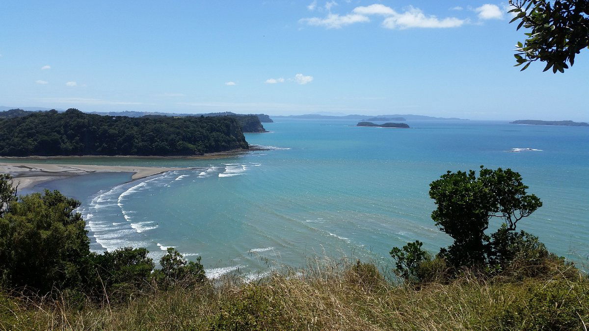 Wenderholm Perimeter Track - Hika Trail