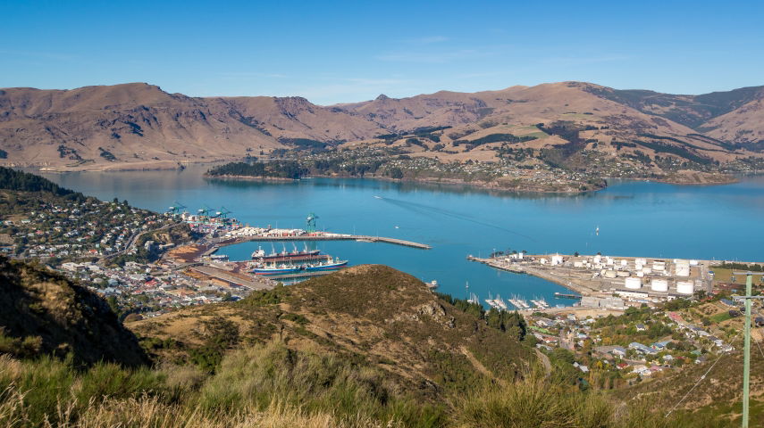 Bridle Path Track - Hika Trail