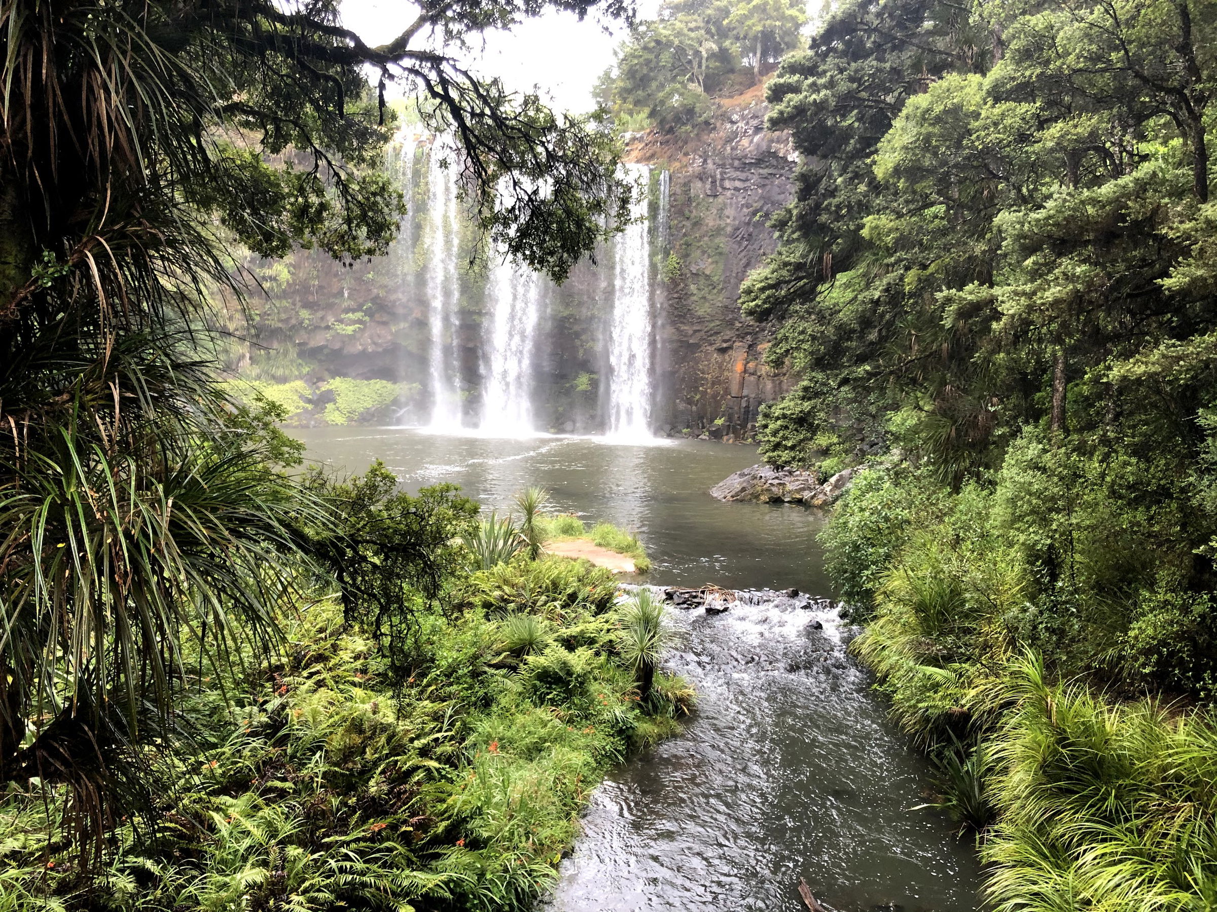 Whangarei Falls Track - Hika Trail