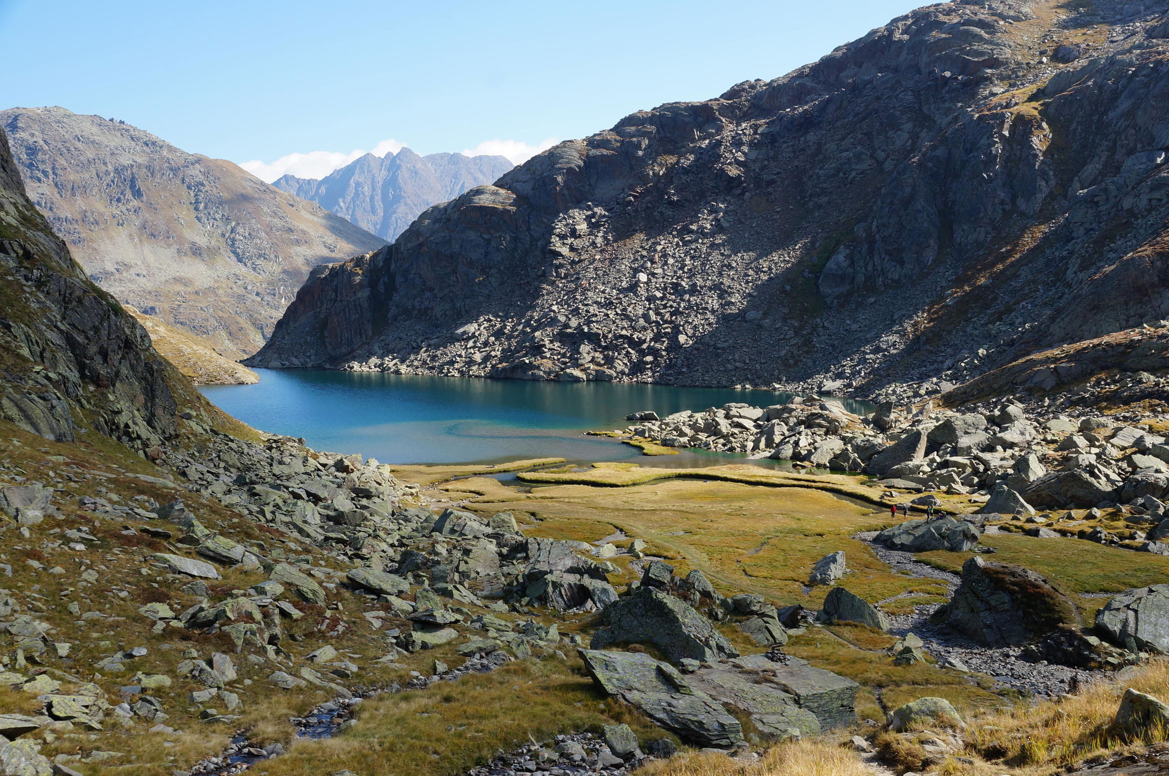 Tomasee - Hika Trail